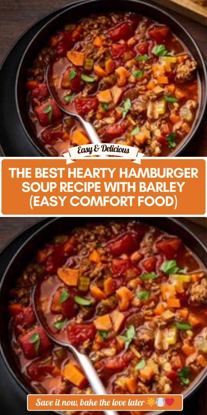 The Best Hearty Hamburger Soup Recipe with Barley (Easy Comfort Food ...