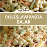 Coleslaw Pasta Salad – Blessedish